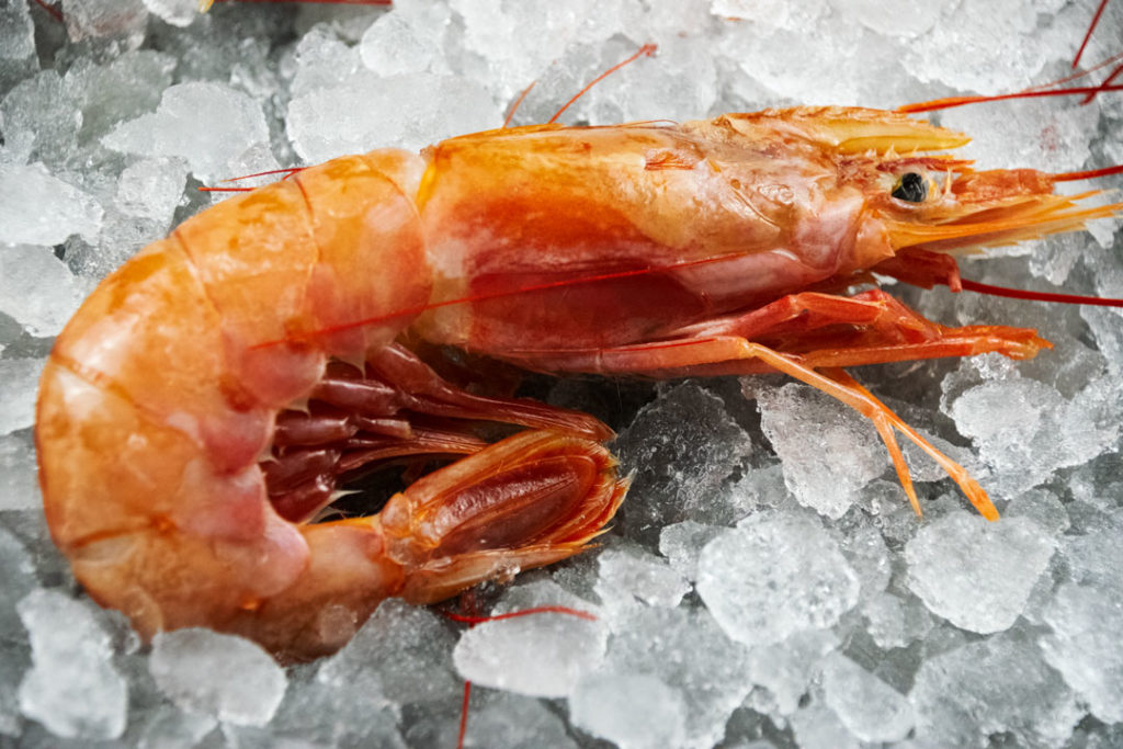 Xl Raw Whole Argentinian Wild Red Shrimp 2kg Seafood By Sykes