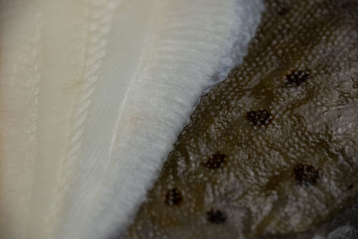 Plaice Fillets x2 (280g) | Seafood By Sykes