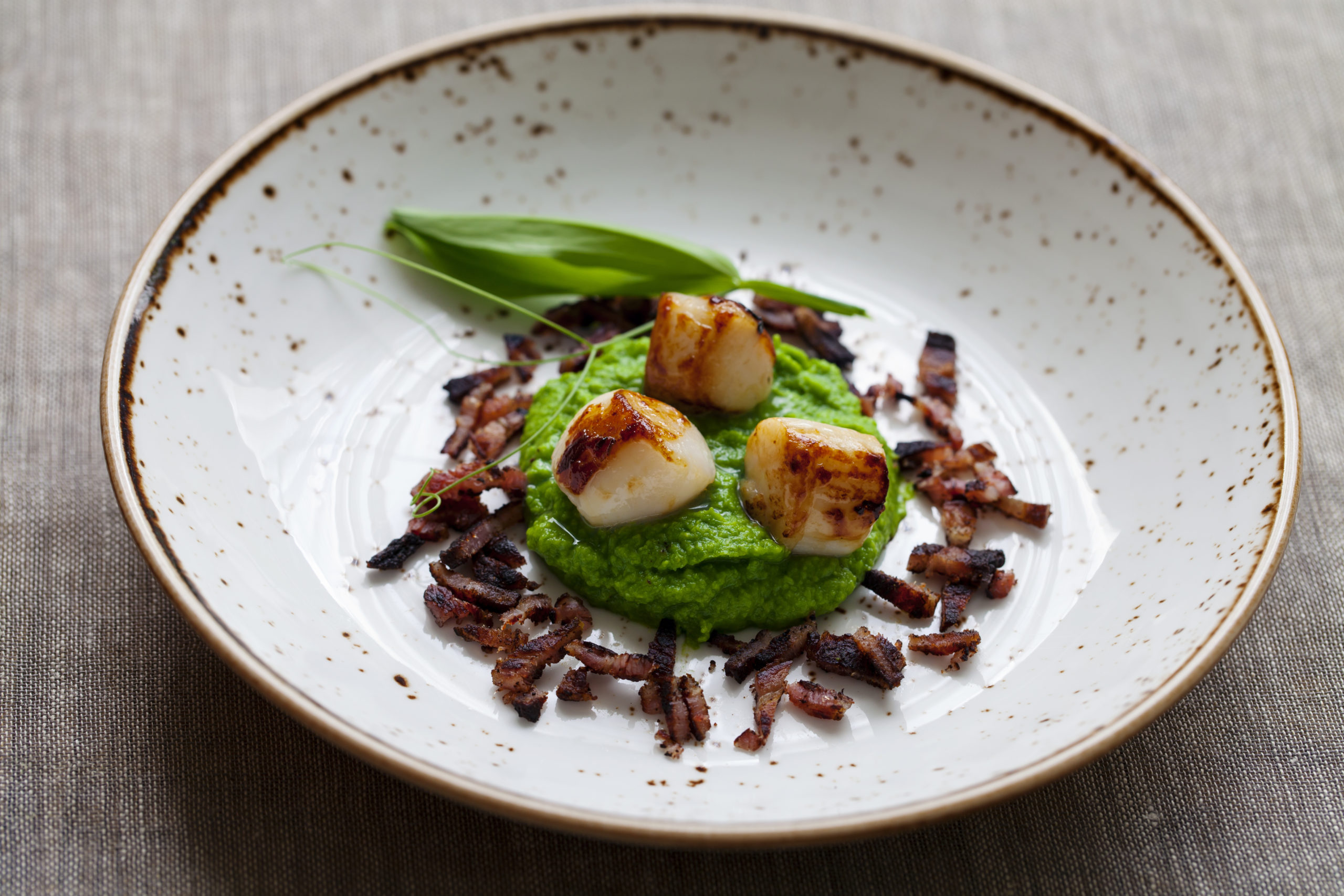 Seared Scallops with Pea Purée, Crisp Pancetta & Gremolata | Seafood By ...