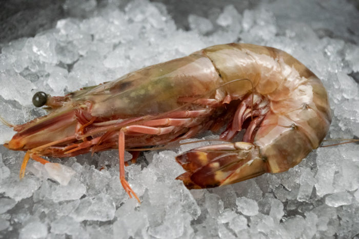 Super Giant King Prawns (800g) | Seafood By Sykes
