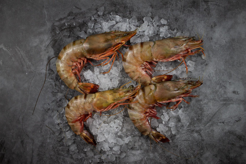 Super Giant King Prawns (800g) | Seafood By Sykes