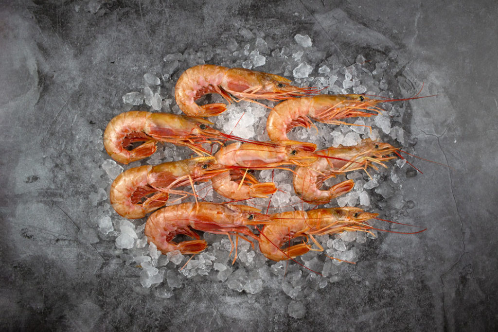 Large Raw Whole Argentinian Wild Red Shrimp (2kg) | Seafood By Sykes