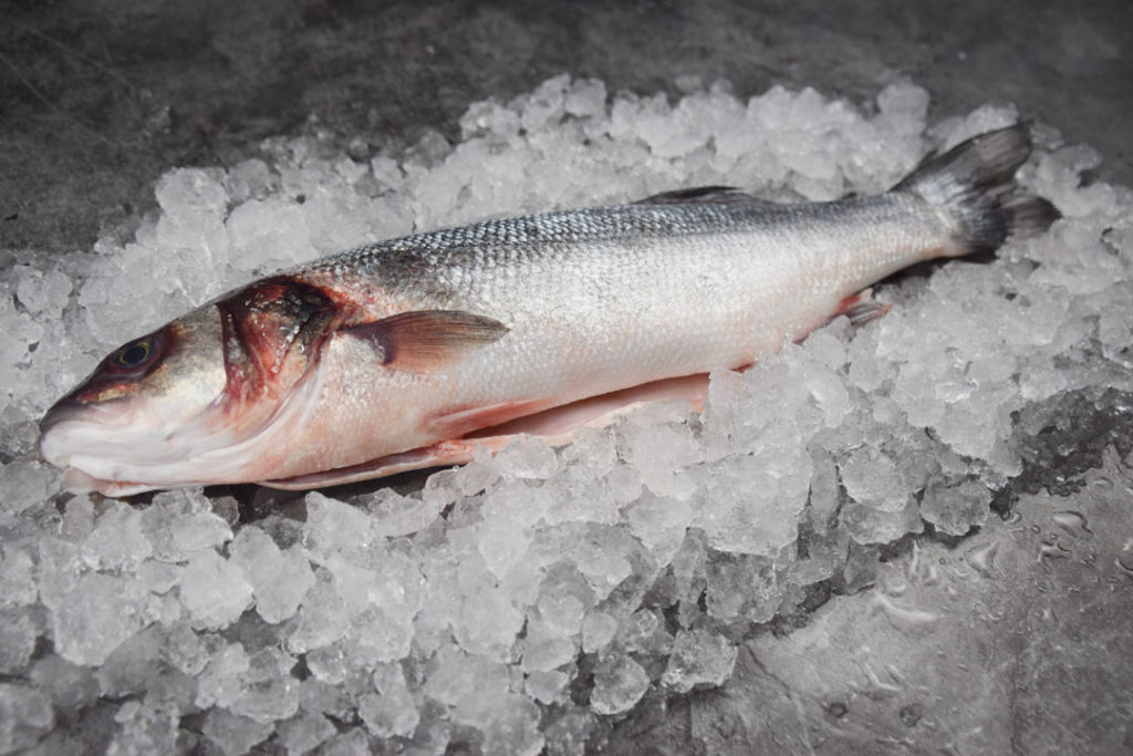 Whole Sea Bass (600-800g) | Seafood By Sykes