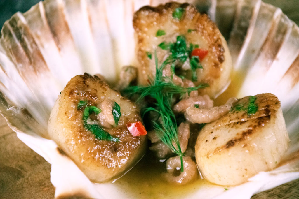 Scallop Shell Pack x4 | Seafood By Sykes