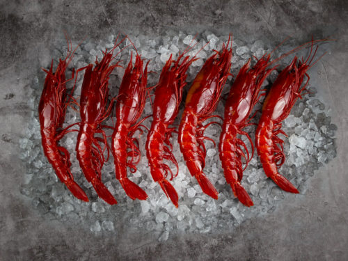 Extra Large Prawns | Seafood By Sykes